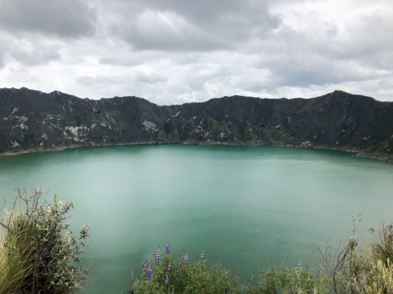 First Time in Quito, Ecuador – A Guide - Palm Trees & Pellegrino