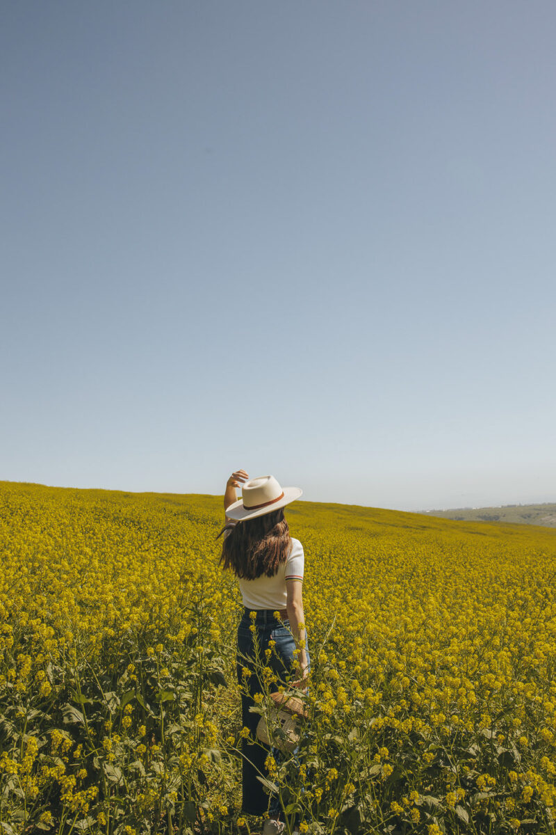 Day trip to Capay Valley, CA: Bay Area Day Trip Itinerary