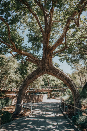 Things to do in Gilroy, CA: Weekend Itinerary - Palm Trees & Pellegrino