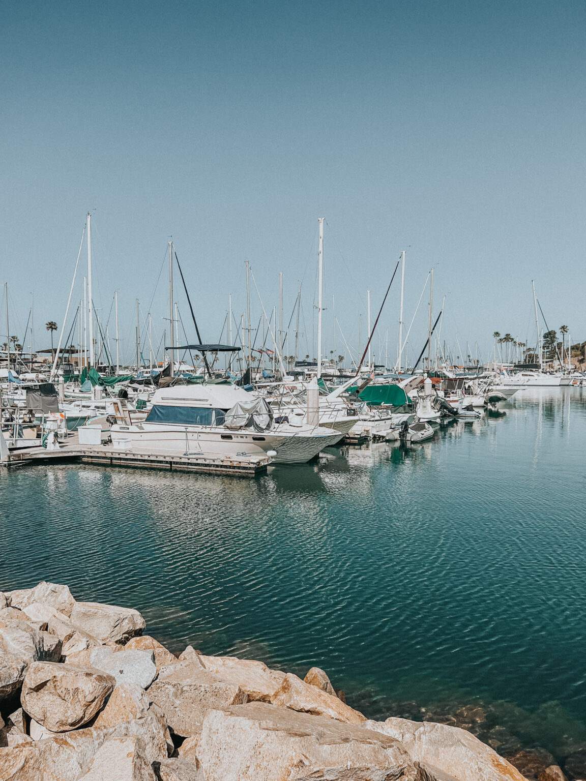 The Best Photo Spots in Oceanside, CA - Palm Trees & Pellegrino