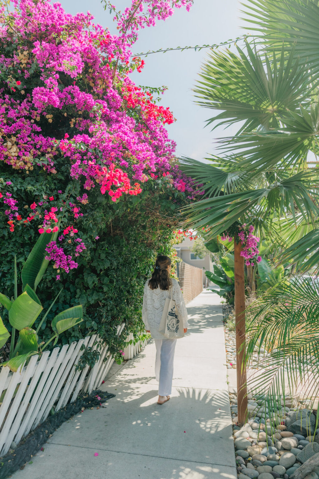 The Best Photo Spots in Encinitas, California - Palm Trees & Pellegrino